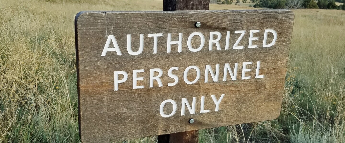 Authenticating REST services with OAuth2 | Sngular