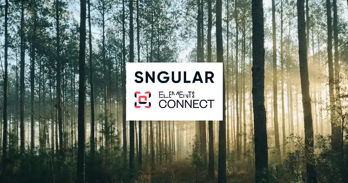 A complex cloud migration with Elements Connect | Sngular